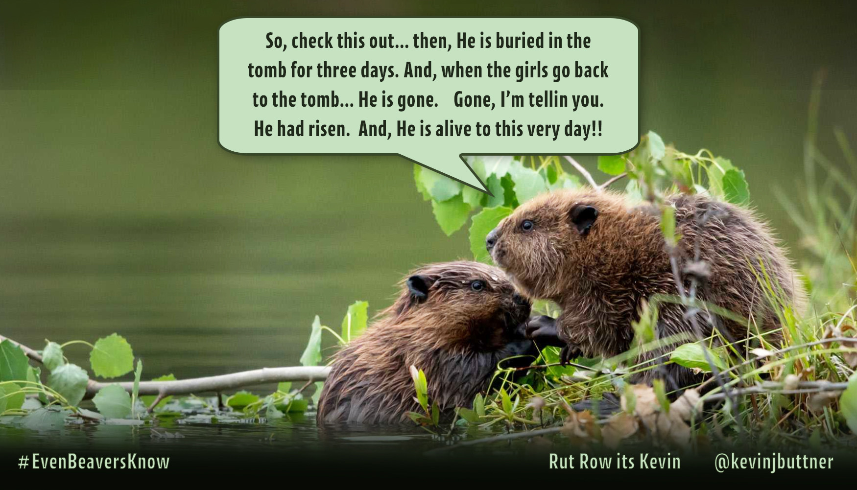 Rut Row its Kevin™